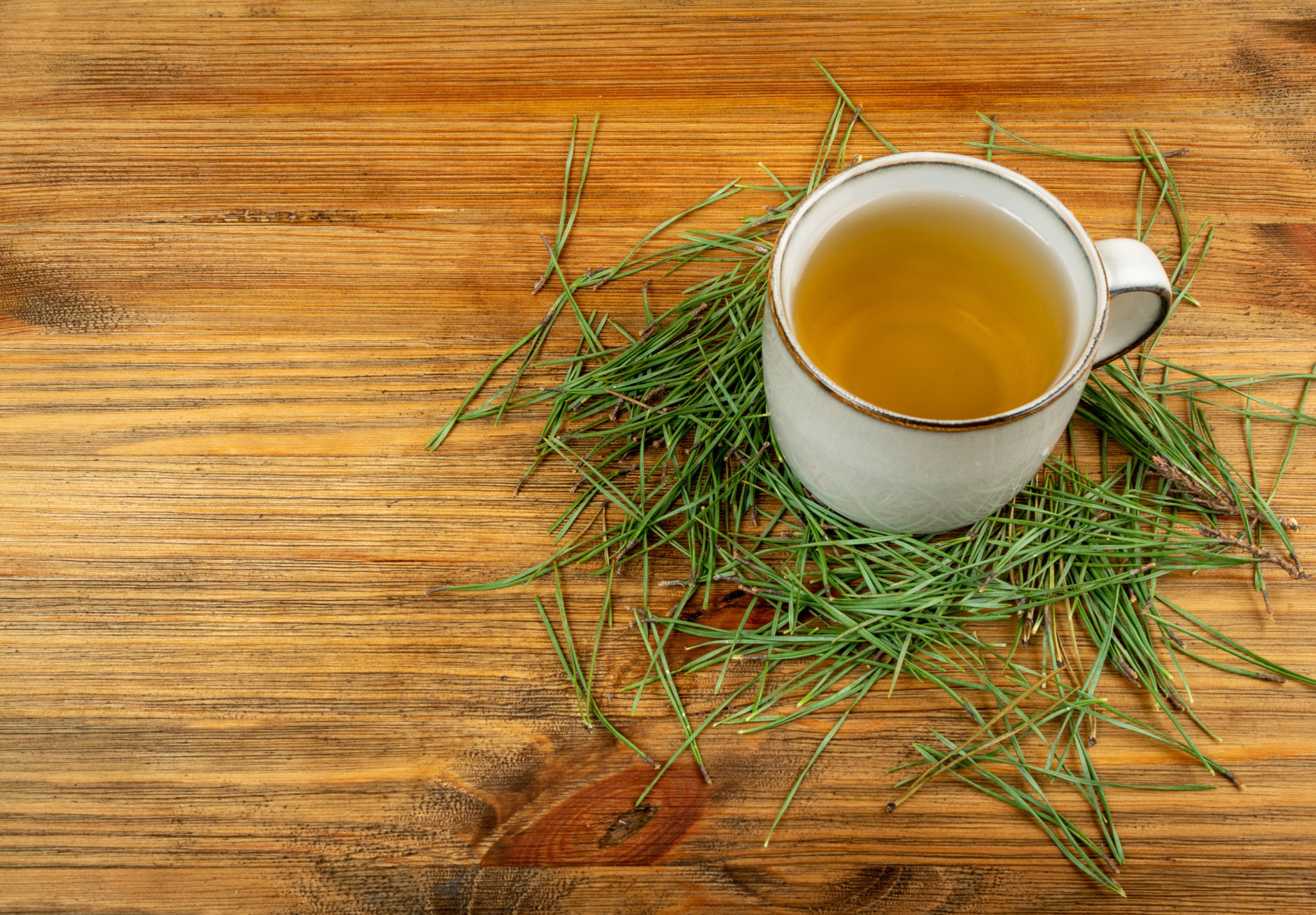 Homemade Pine Tea for Colds and Congestion (Safe for Children)