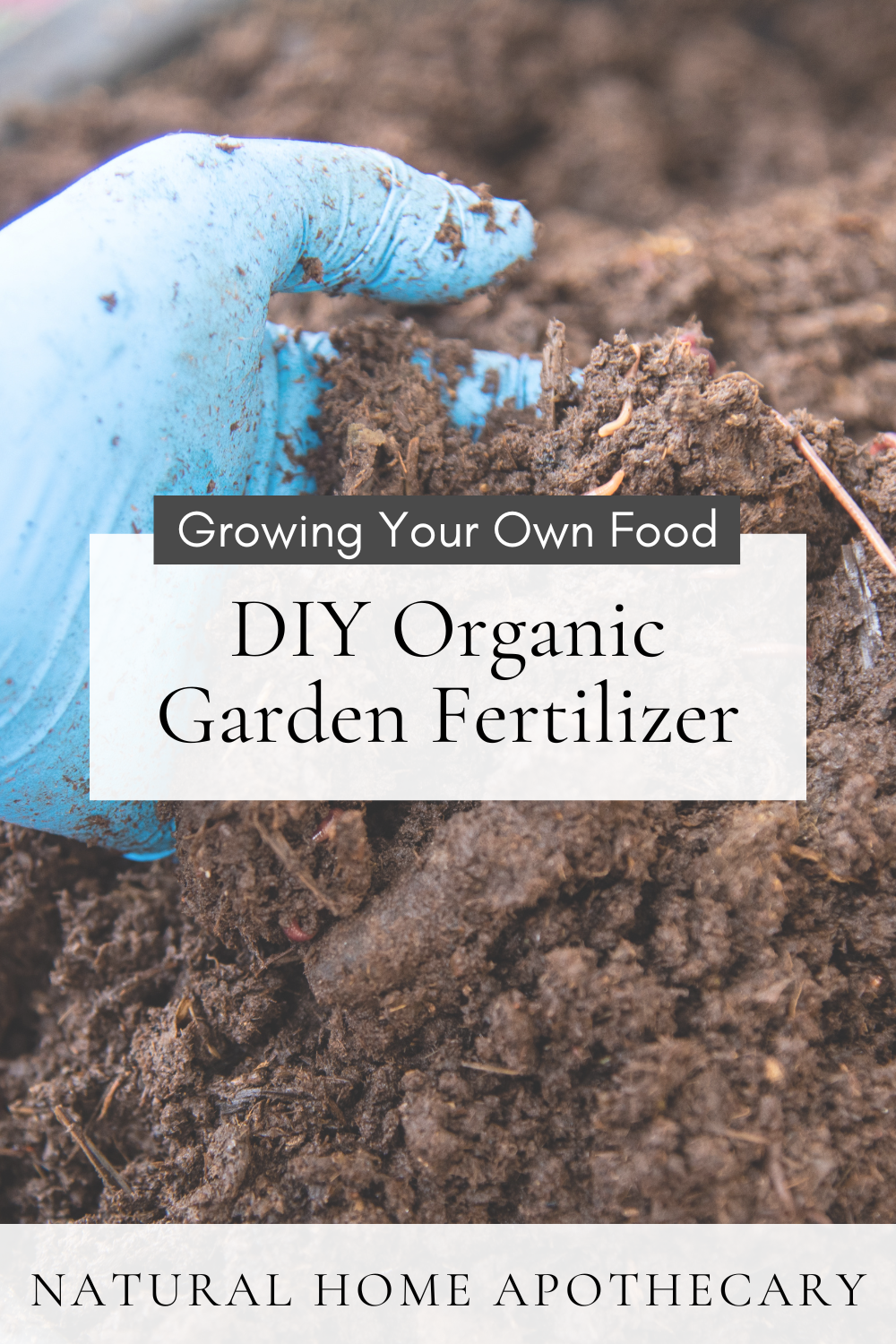DIY Organic Garden Fertilizer