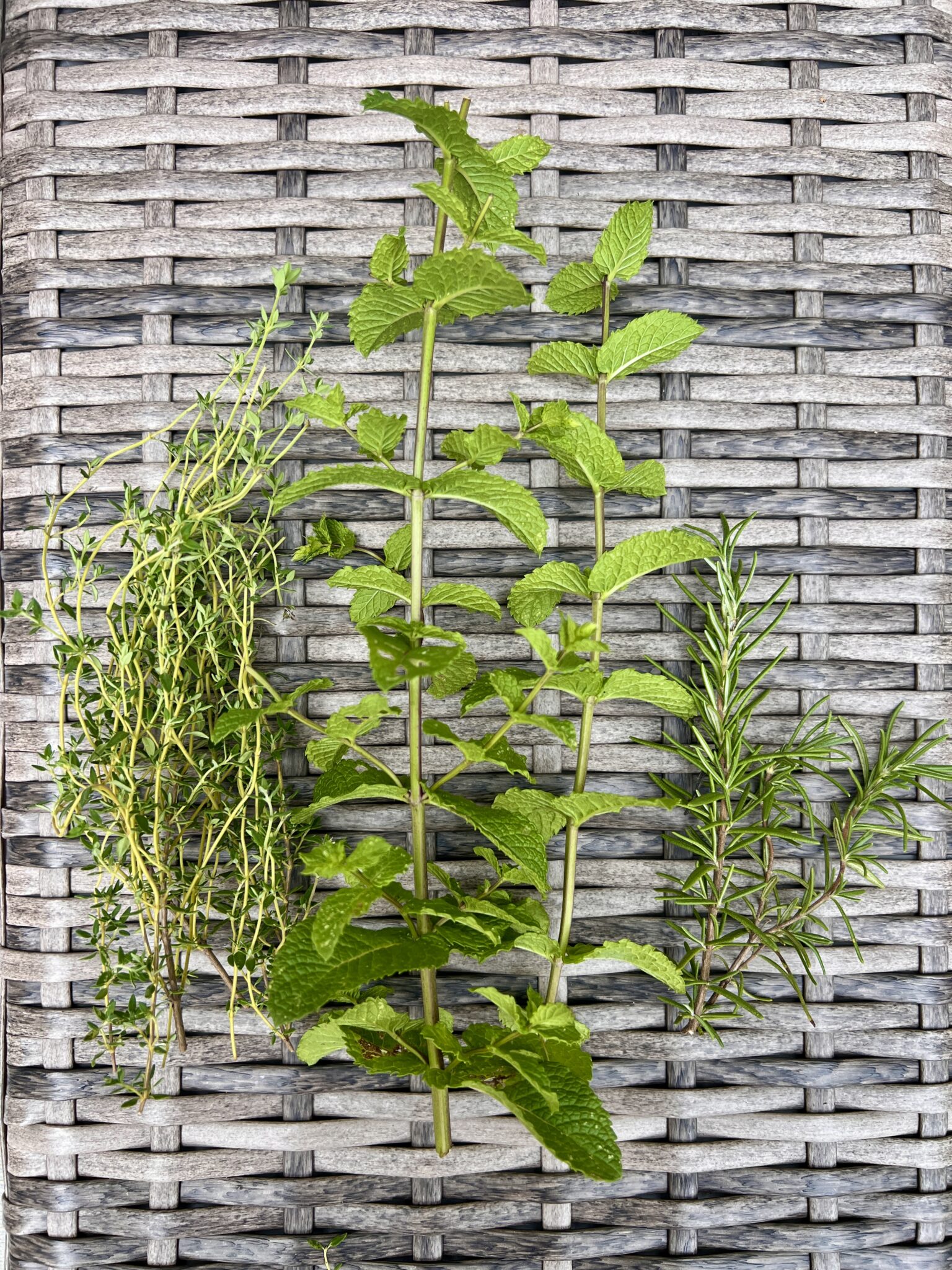 Fast Steam Therapy for Congestion Relief - Remedies