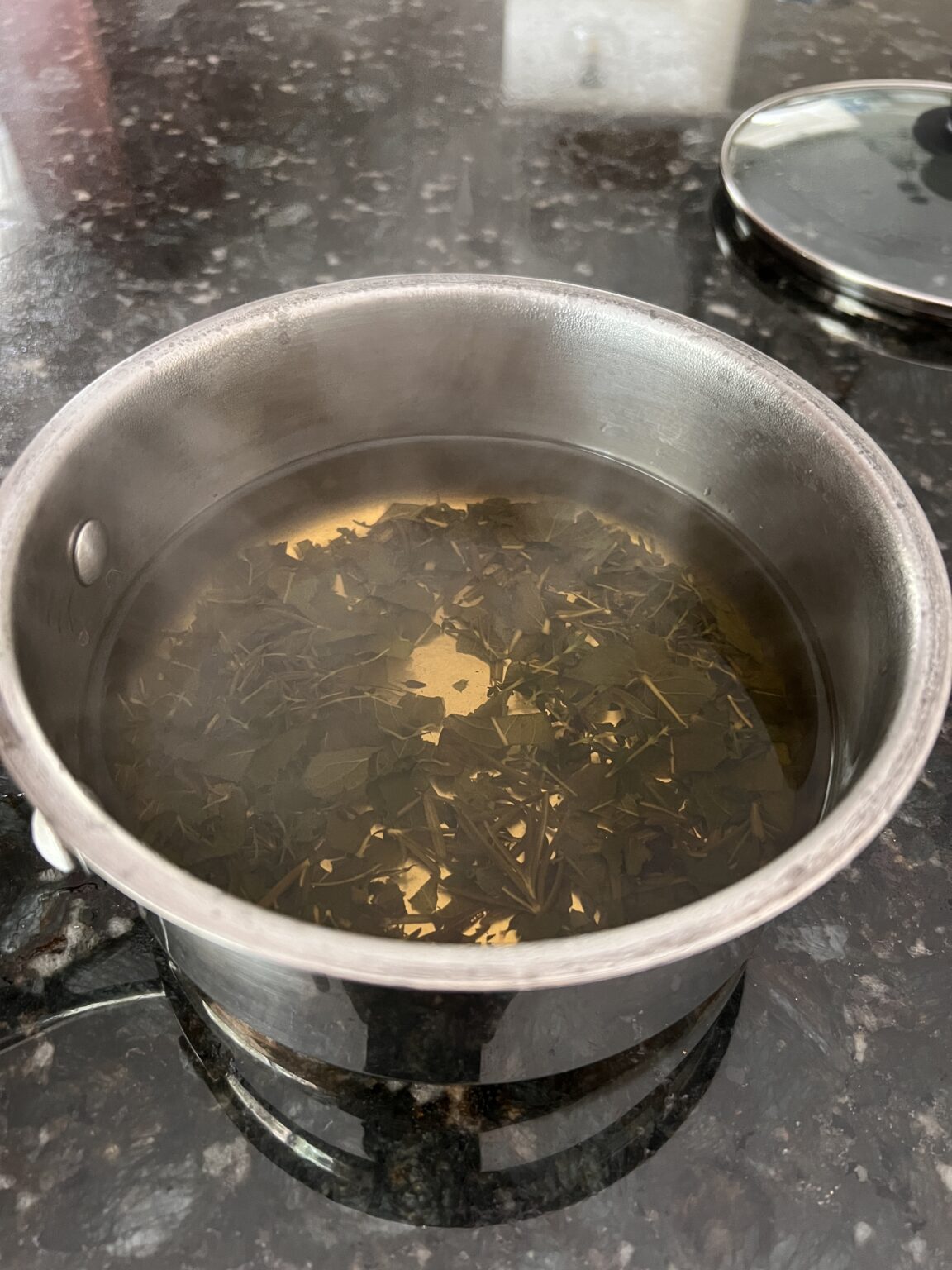 Fast Steam Therapy for Congestion Relief - Remedies