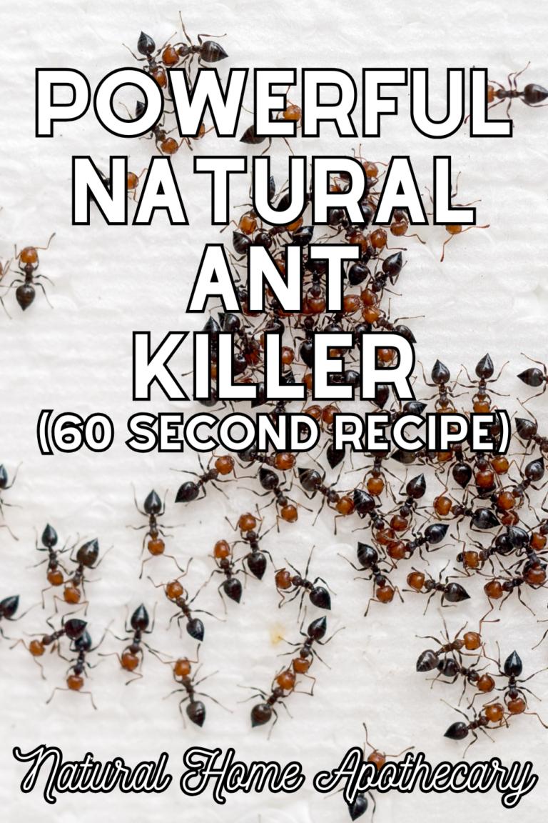 The Best Natural Ant Killer You Can Make in 60 Seconds