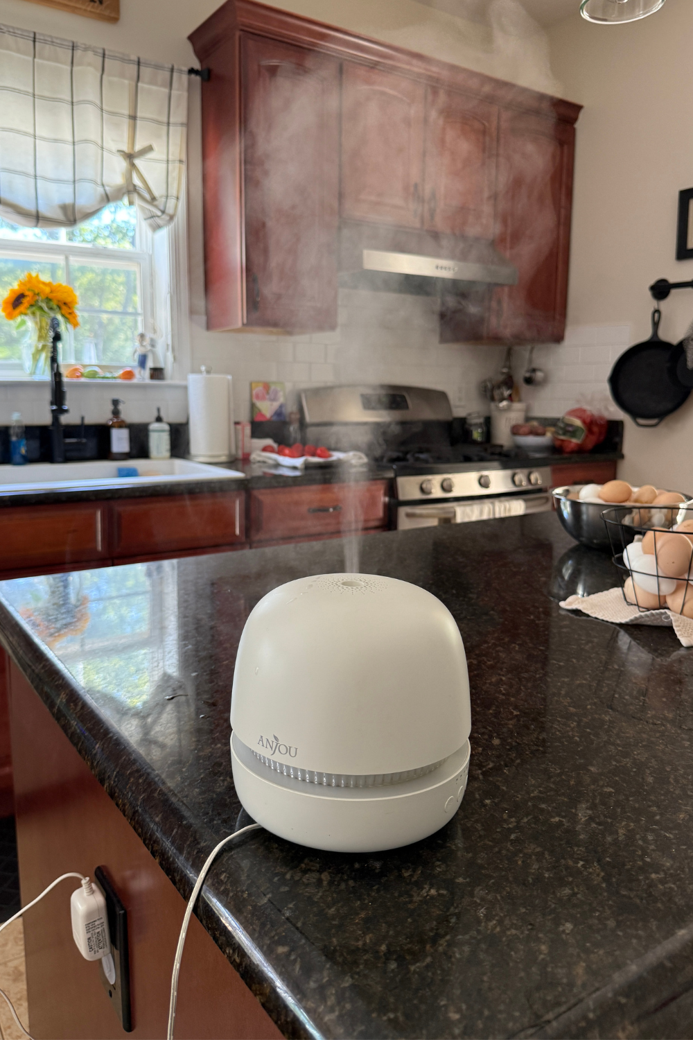 Beginner’s Guide to Diffusing Essential Oils (Tips, Cleaning, and ...